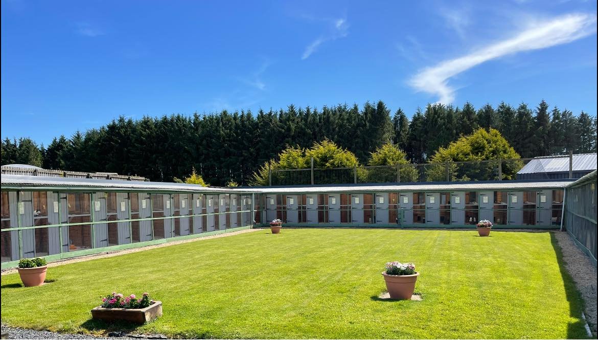 Home - Newfield Cattery