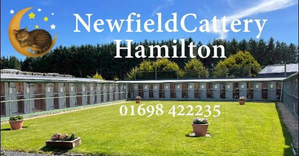 Home - Newfield Cattery